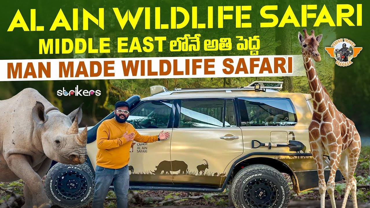 Al Ain Wildlife Safari || Largest Man Made Safari In Middle East ...